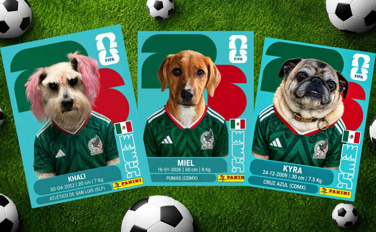 "El Perro" Bermúdez se queda fuera de la final por fuerte enfermedad ...