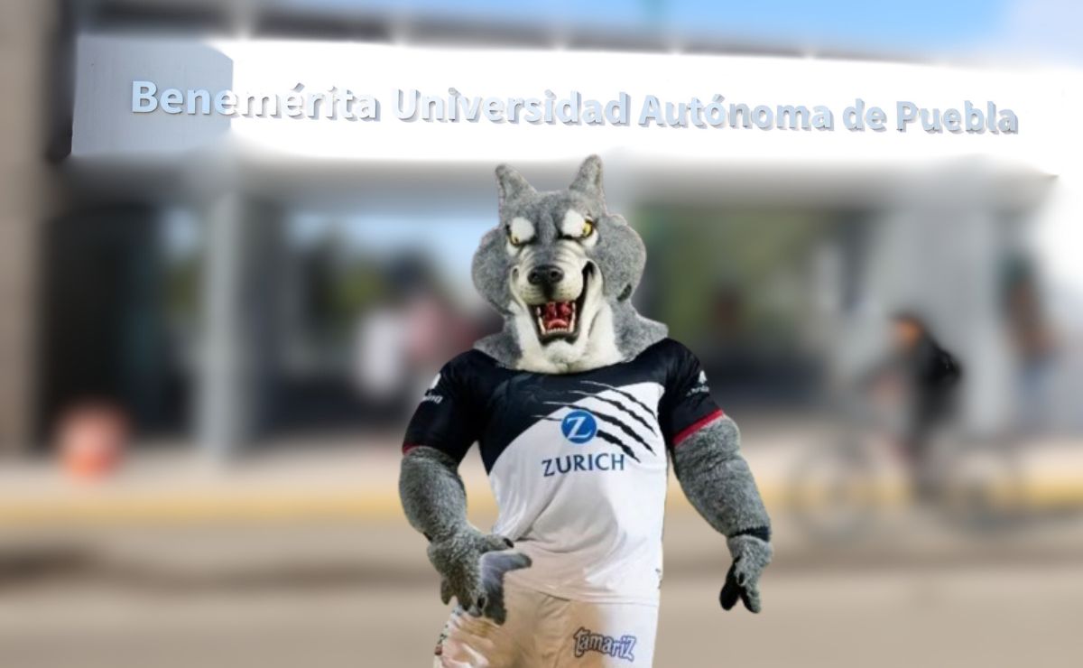 BUAP: ¿Dónde y cómo registrarte para usar el Sistema de Transporte ...