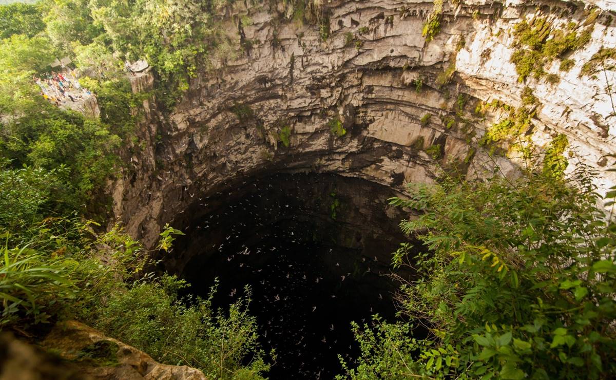 Así es el Sótano de las Golondrinas en SLP, lugar donde murieron ...