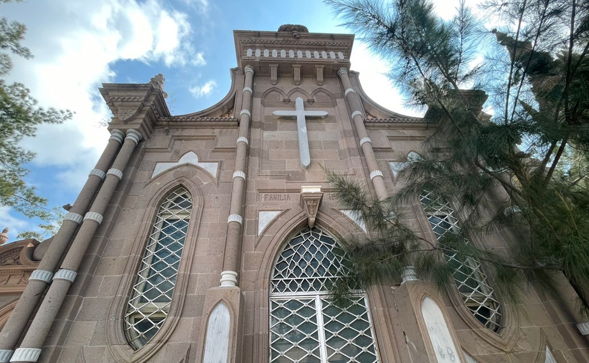 Descubre el fascinante mundo de los murciélagos en la Murci Semana de ...