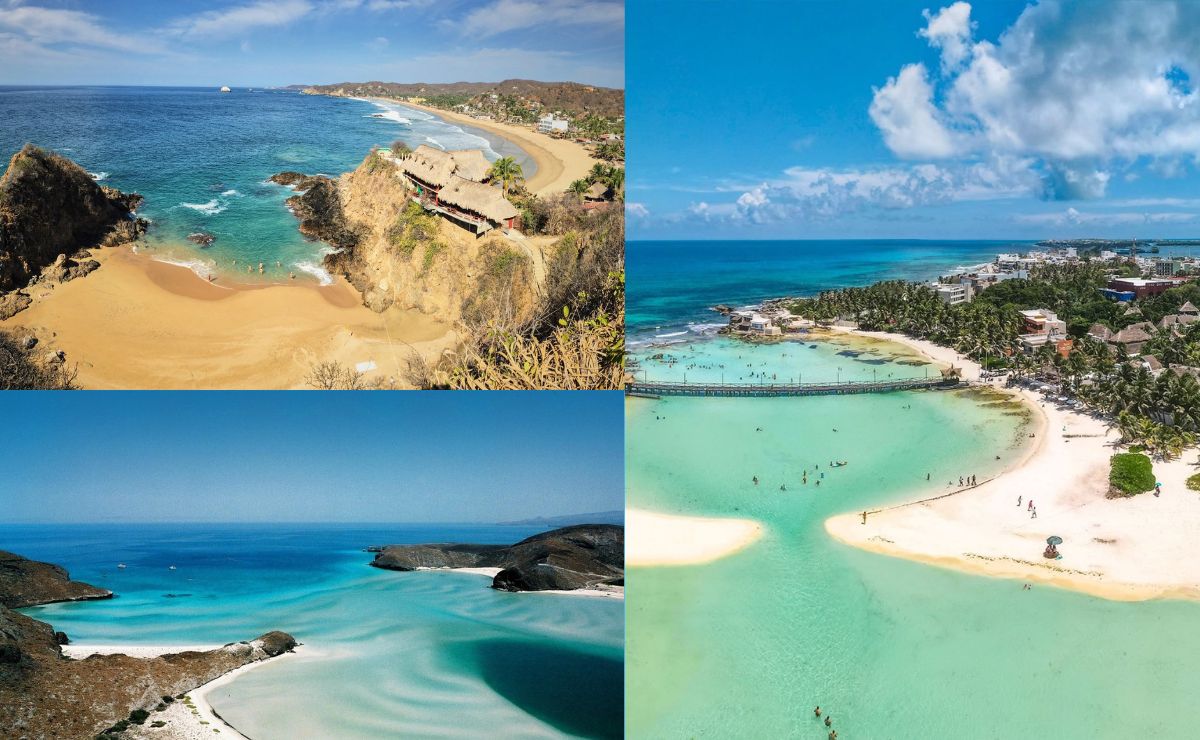 ¿Quién es Pepe Chedraui? | El Universal Puebla