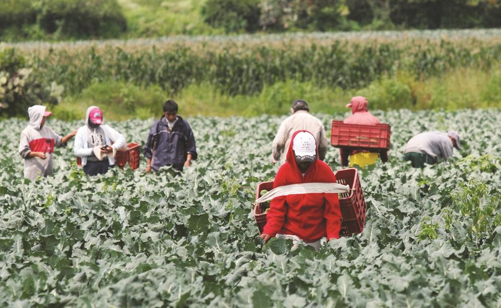 SLP, zona de trata de personas para explotación sexual | Querétaro