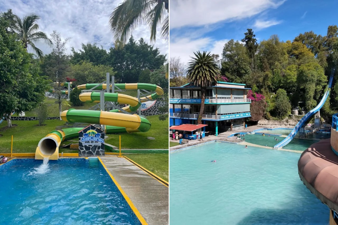 Celebra el Día del Padre en el bosque de bambú más neblinoso de Puebla