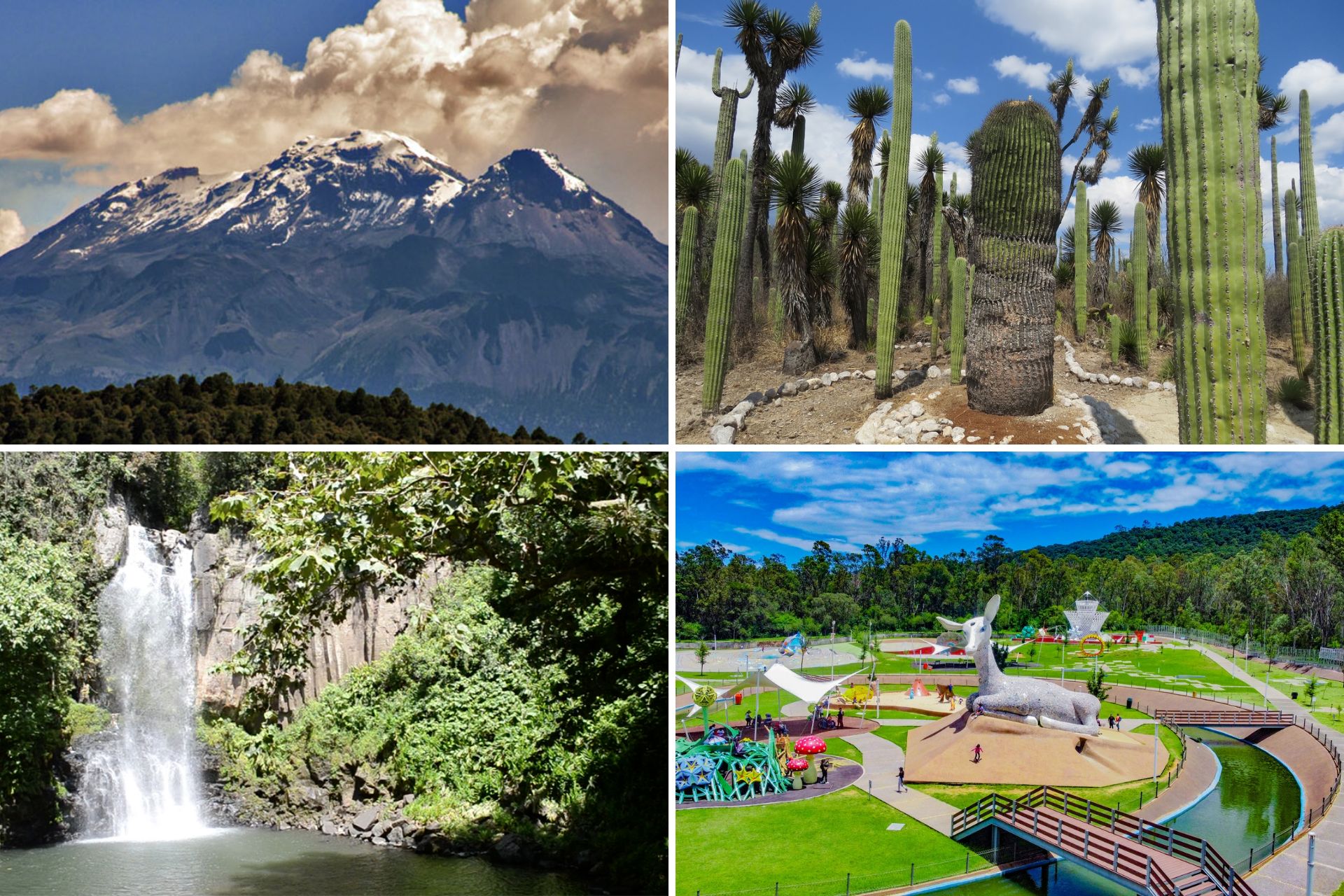 Así puedes obtener tus actas certificadas en Puebla | El Universal Puebla