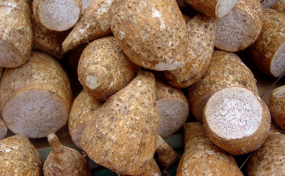 Staff Suplementos | El Universal