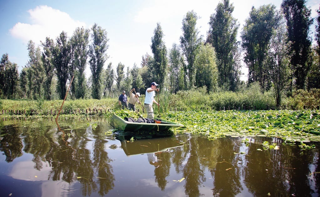 Chinampas: The key to sustainable food production