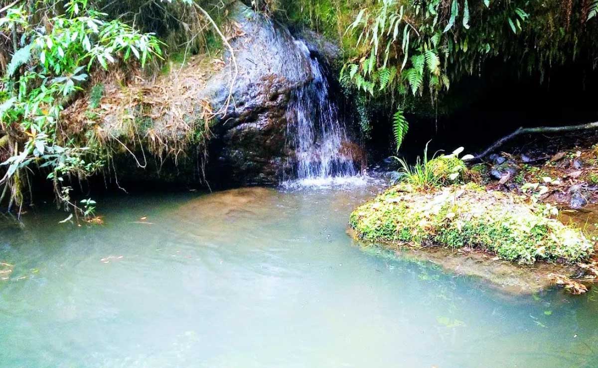 Conoce la fascinante leyenda del dragón de Zacatlán | El Universal Puebla