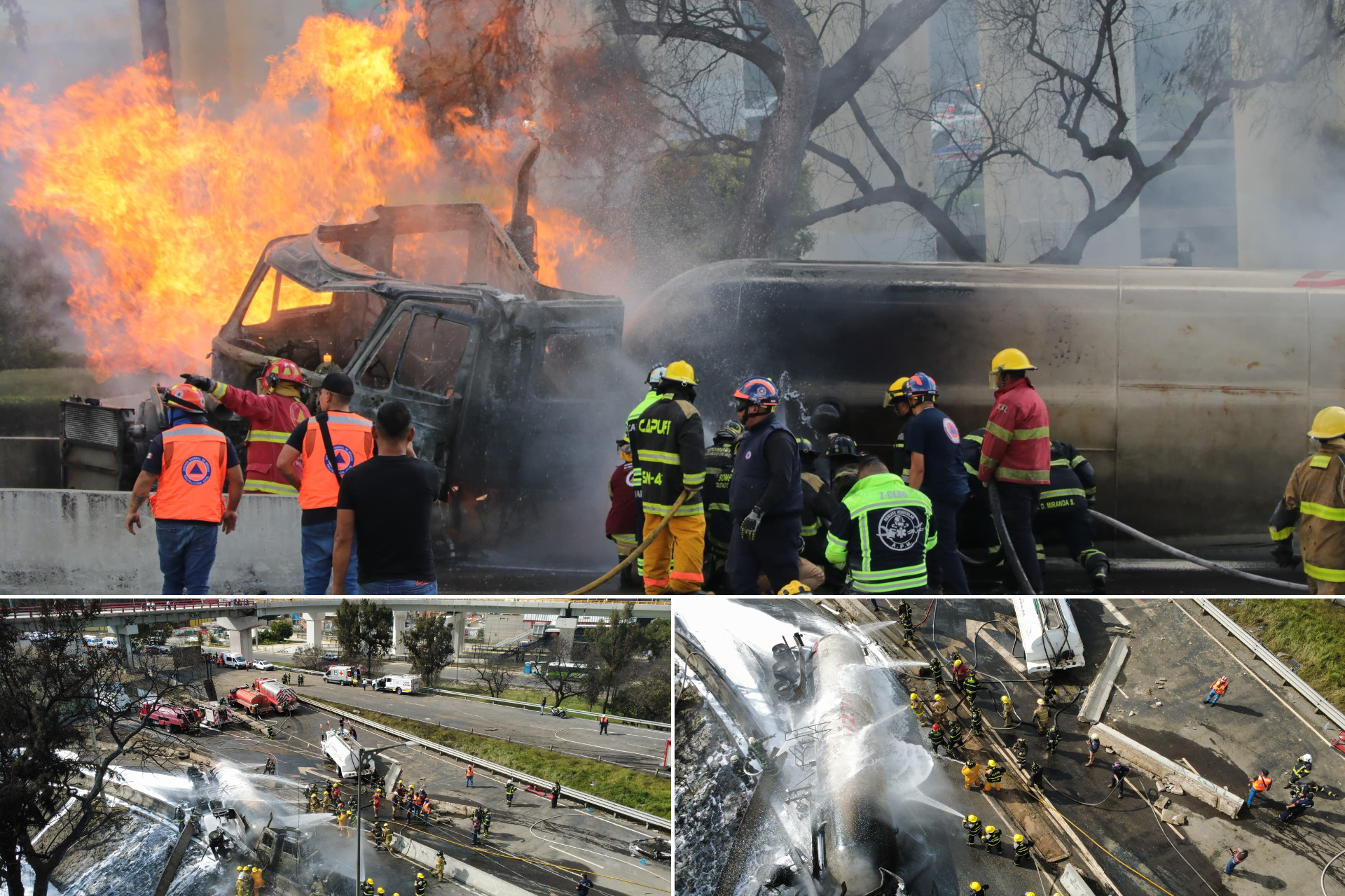 El chito, una riqueza gastronómica de la Mixteca Poblana | El Universal ...