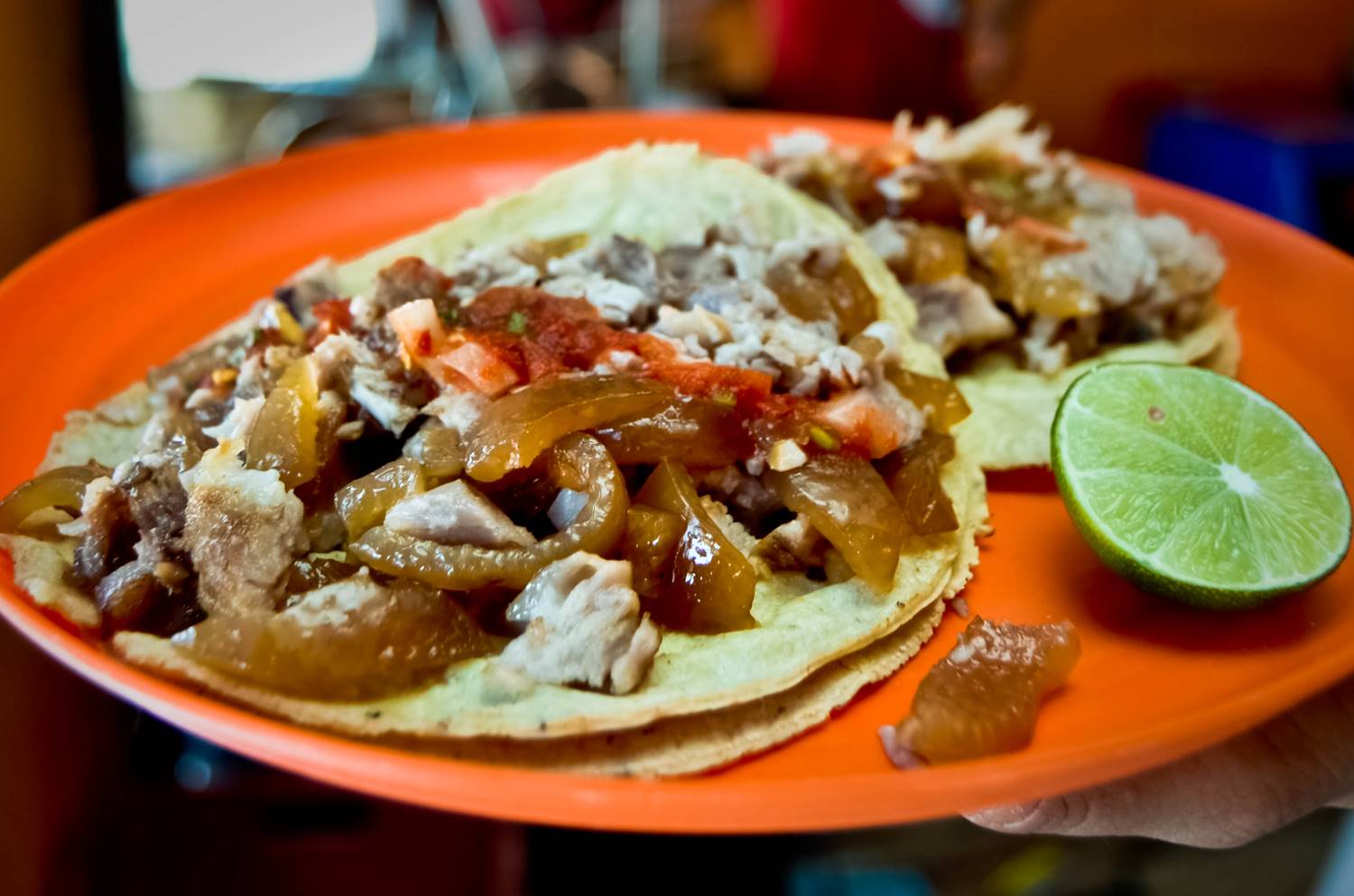 Qué son los machitos y cuáles son sus nutrientes