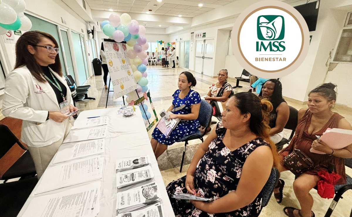 Cómo dar de alta a tus familiares en el IMSS: Guía completa para ...