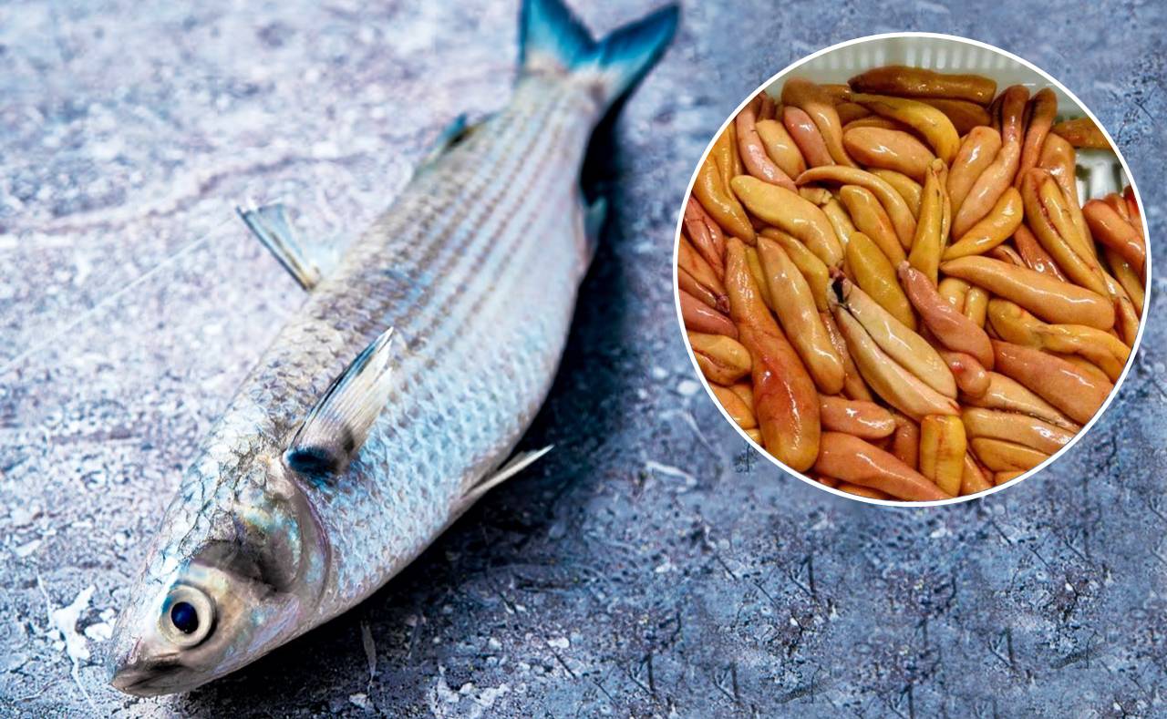 Niño originario de Campeche y médico jalisciense, entre las víctimas ...