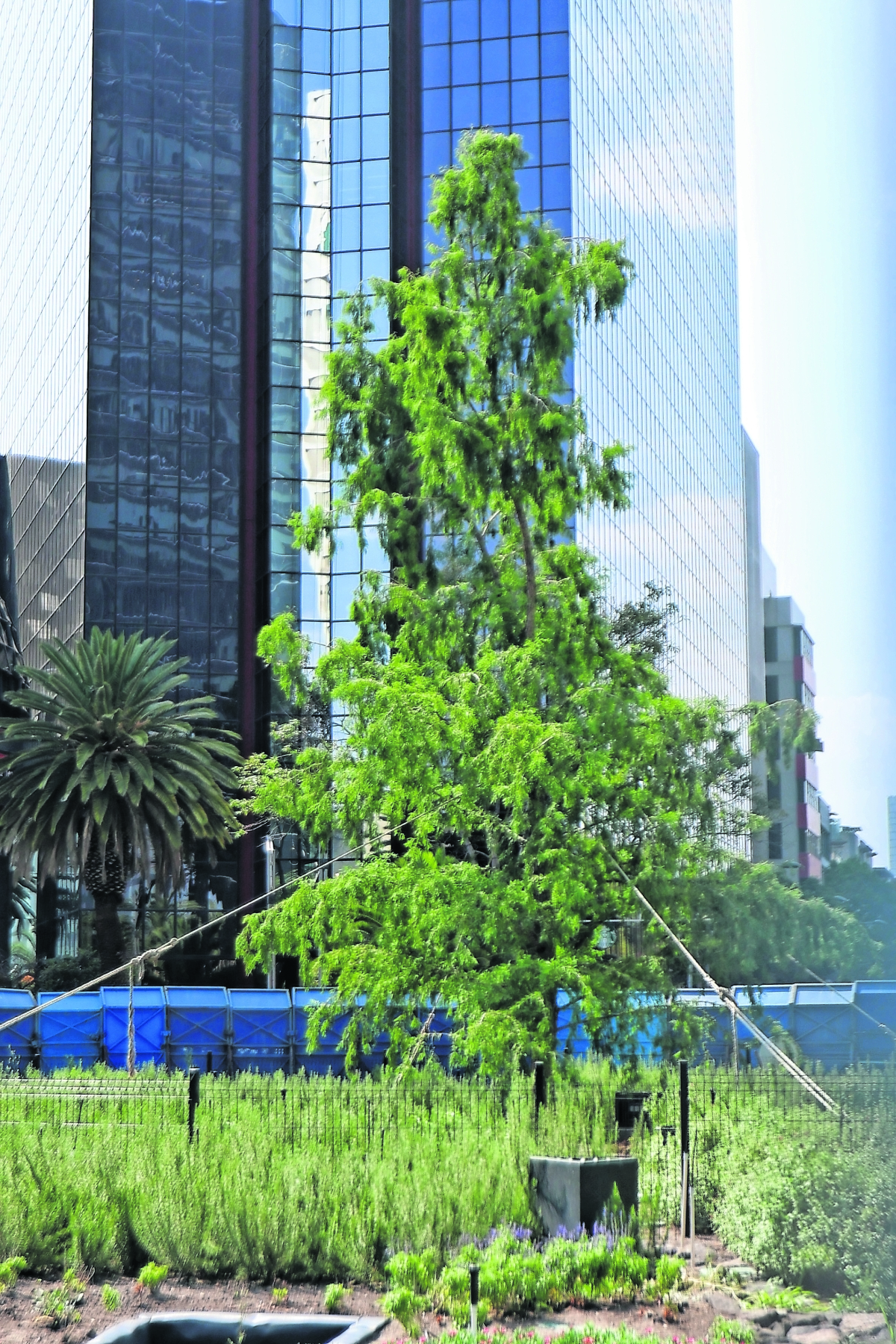 Alerta Vial: Minuto a minuto en CDMX y Edomex, hoy sábado 8 de junio ...