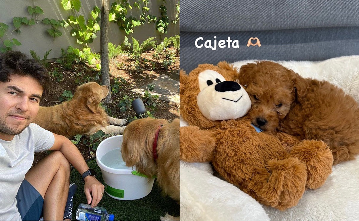 Deportes | El Universal