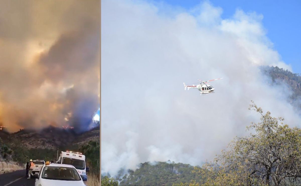Fuertes ráfagas de viento sorprenden a poblanos y causan daños en ...