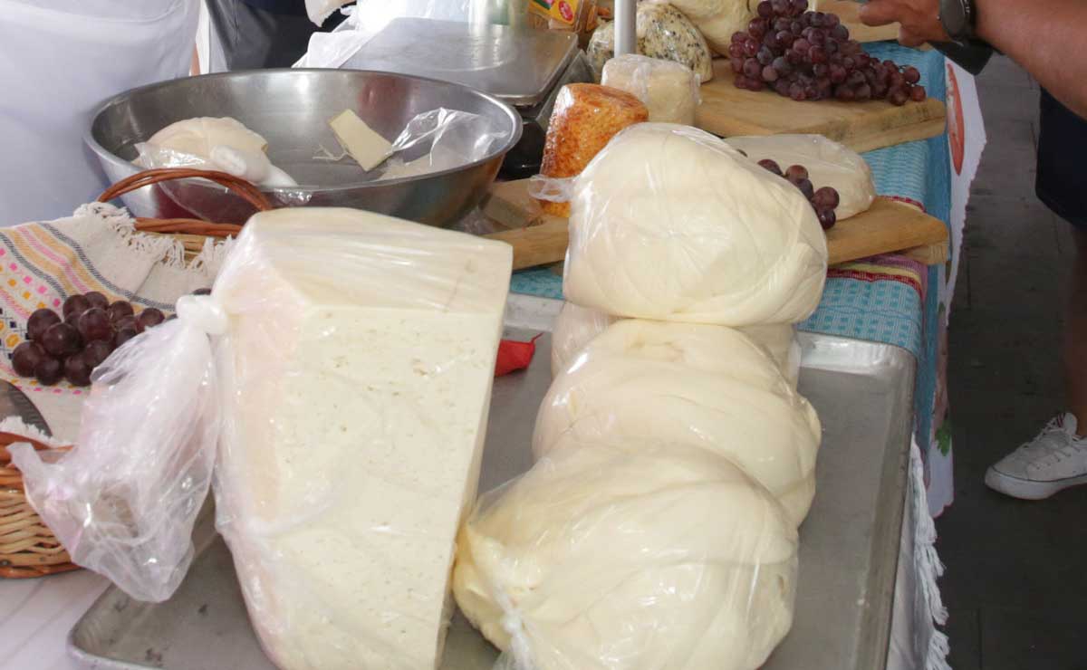 Elaboran el queso de Oaxaca más grande de México | El Universal Puebla