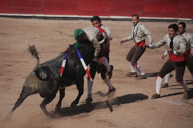 Grupo Forcados celebró su 35 aniversario | Querétaro