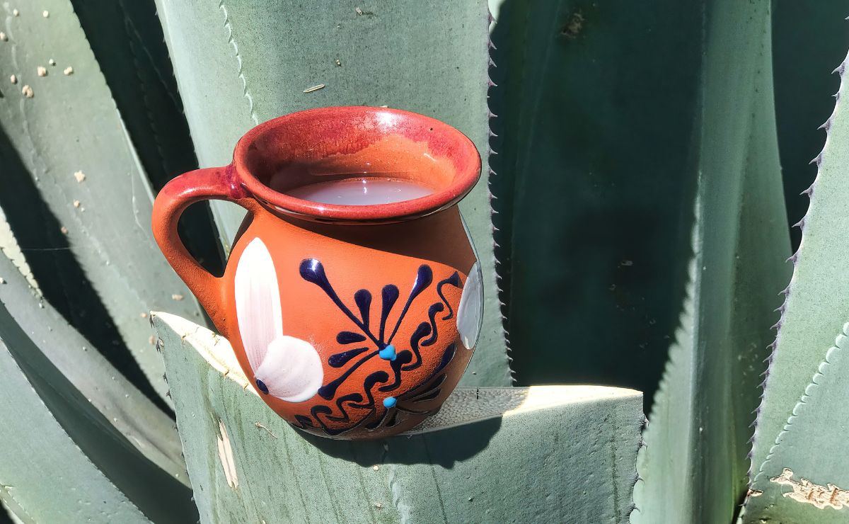 Así es la leyenda que cuenta cómo surgió el pulque, la bebida de los ...