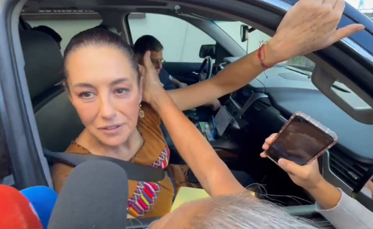 Detención de Mafer Turrent; el caso que provocó la destitución del ...