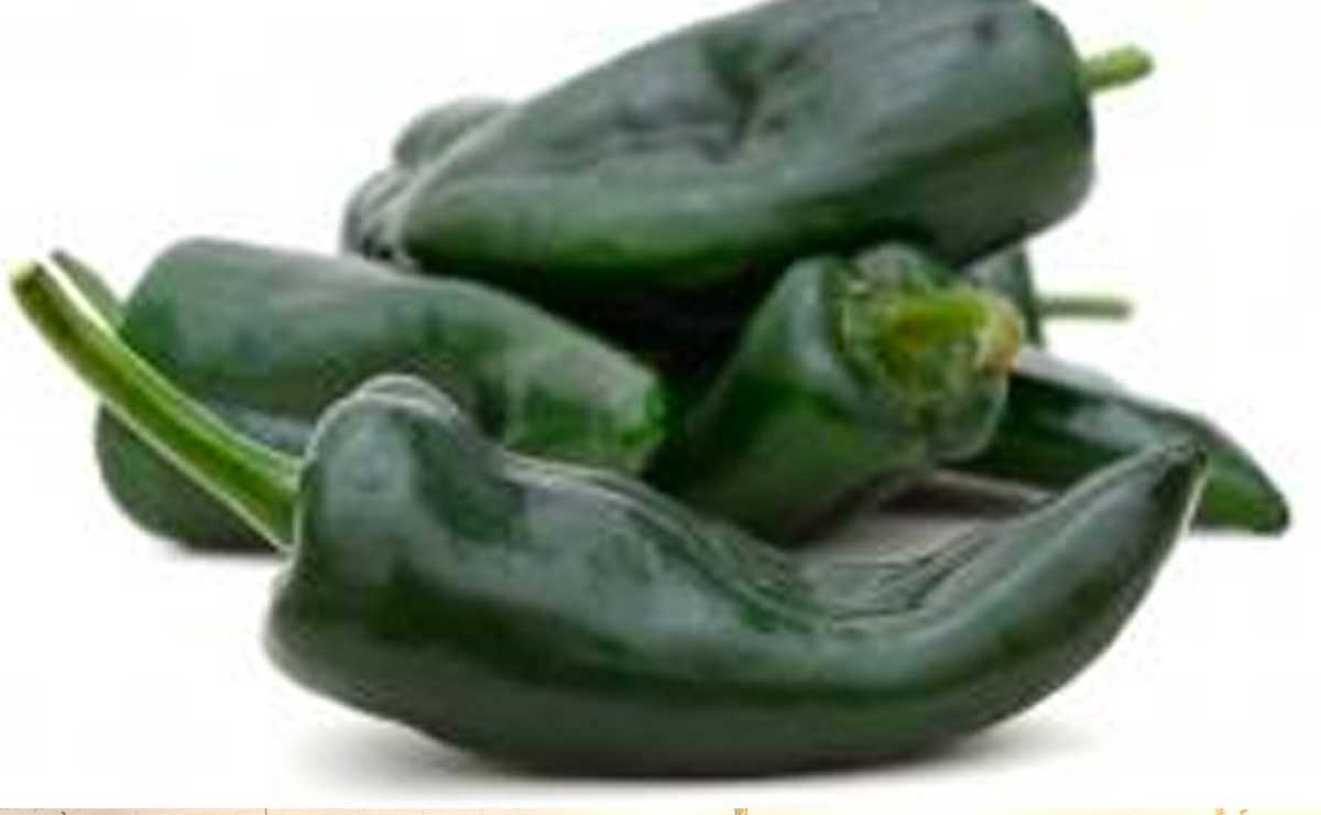 Chile Poblano. Estos son los beneficios de este producto mexicano | El ...