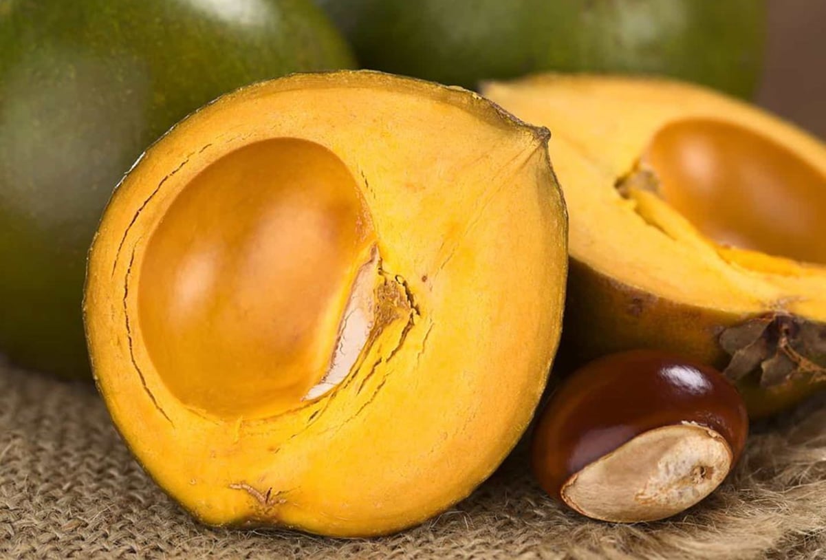 lucuma | El Universal