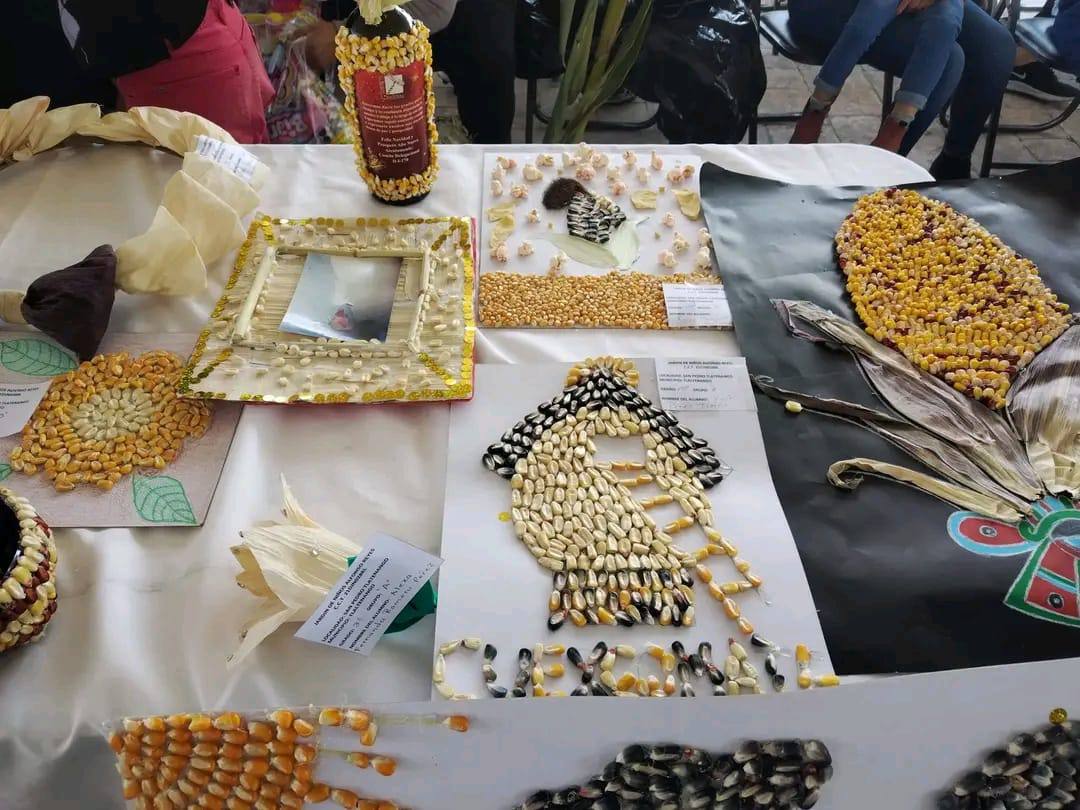 En este municipio de Puebla encontraron la mazorca de maíz más antigua ...