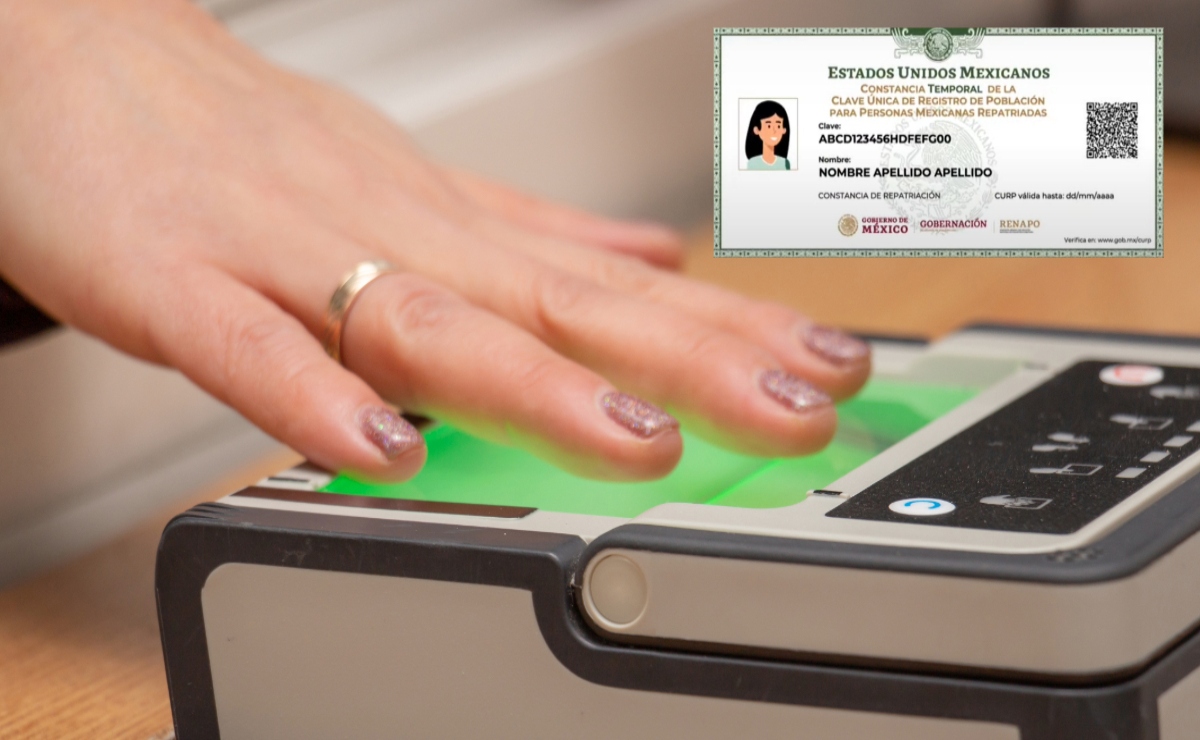 CURP 2025. ¿Cómo tramitar el documento actualizado y certificado? Requisitos