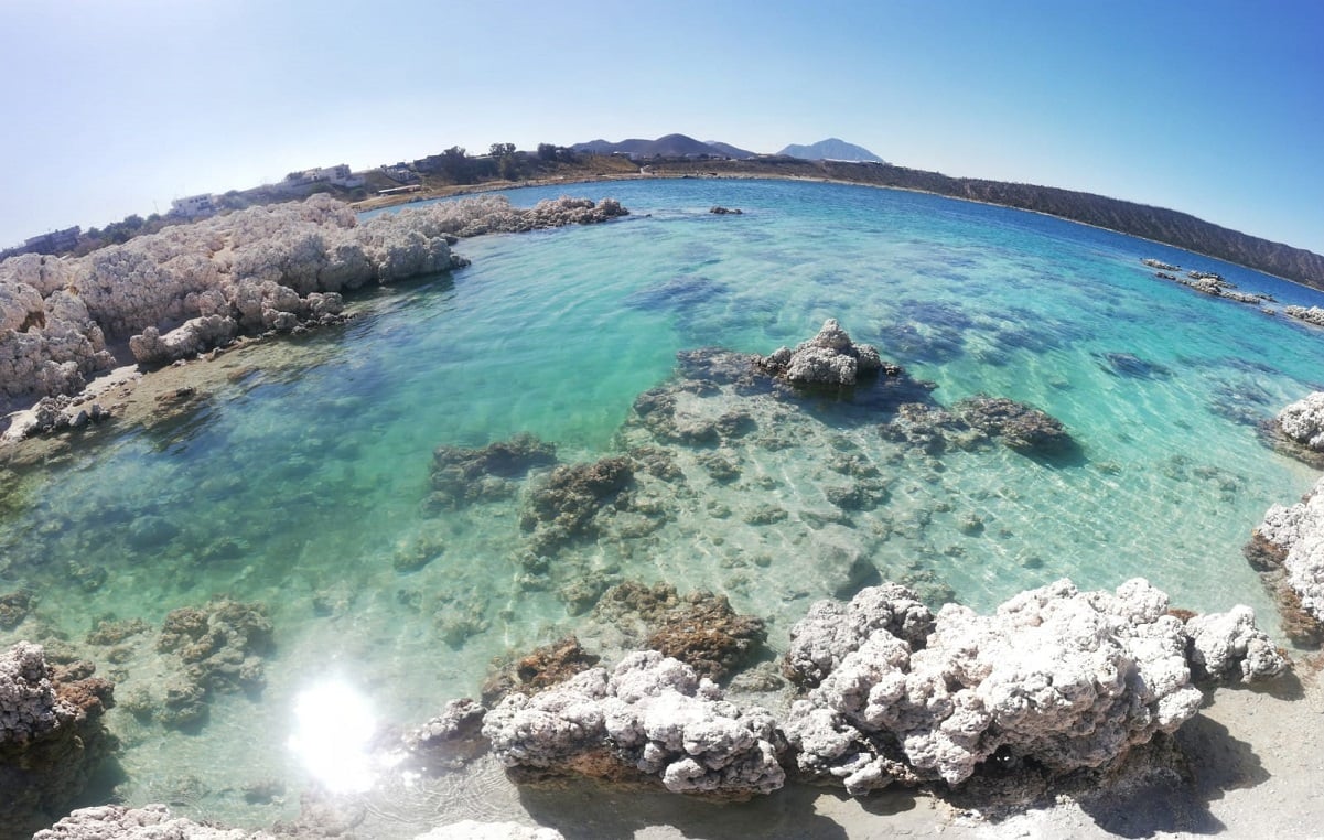 Samara Monroy | El Universal