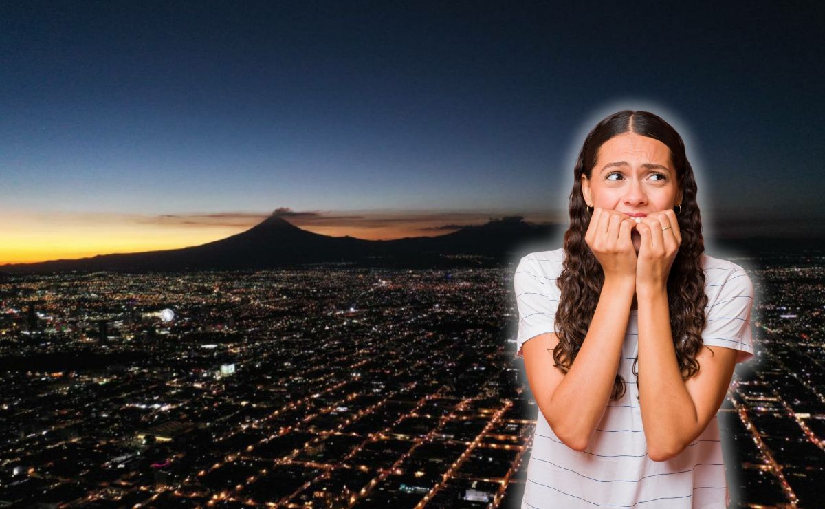 Pahua, la prima poblana del aguacate que debes probar | El Universal Puebla