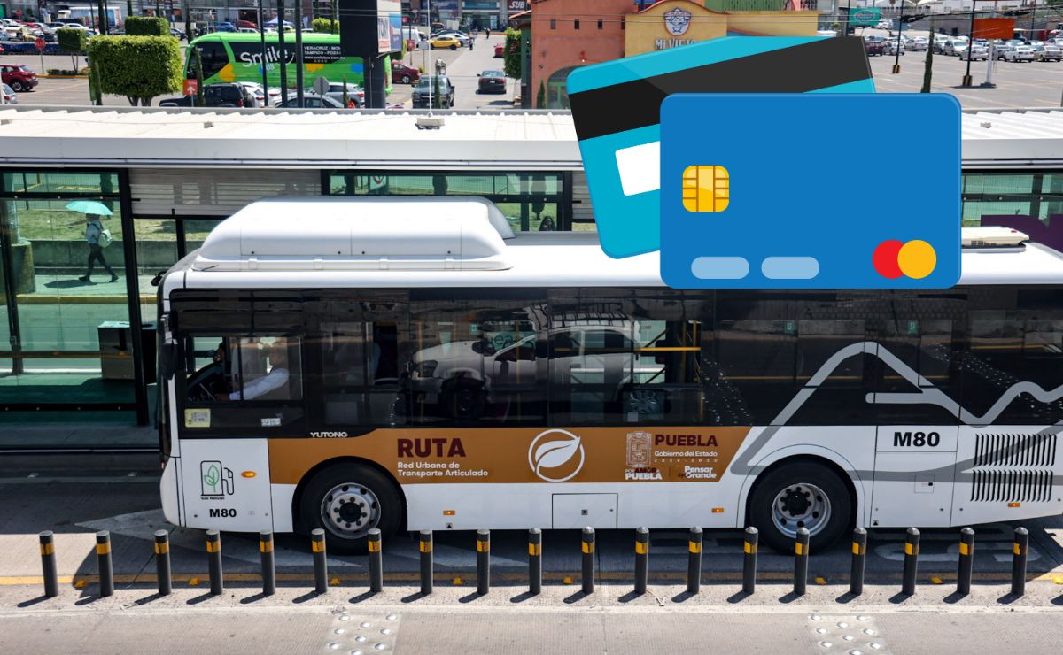 DÍA DE LA VISIBILIDAD TRANS | El Universal Puebla