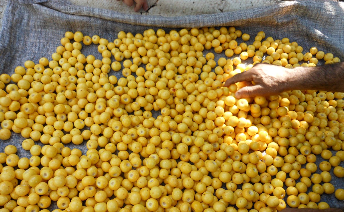 Menú | El Universal