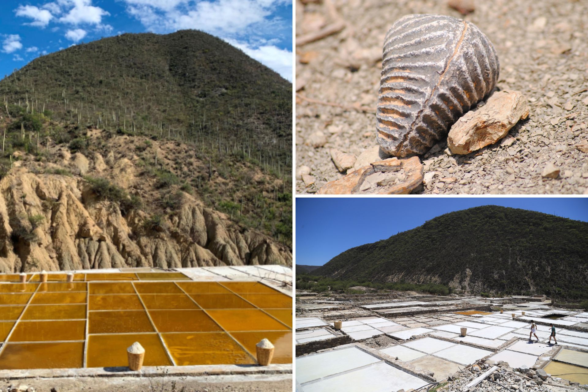 Diez datos que debes saber sobre Audi en Puebla | El Universal Puebla