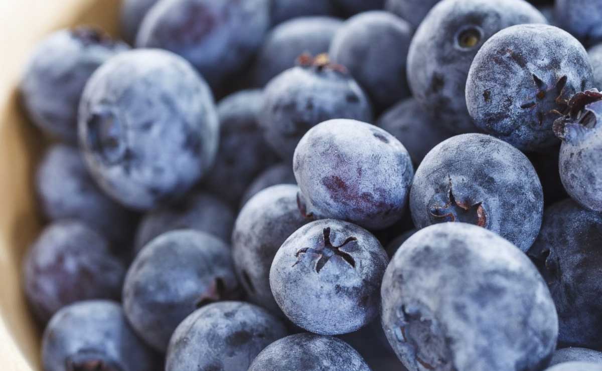 Conoce la fascinante leyenda del dragón de Zacatlán | El Universal Puebla