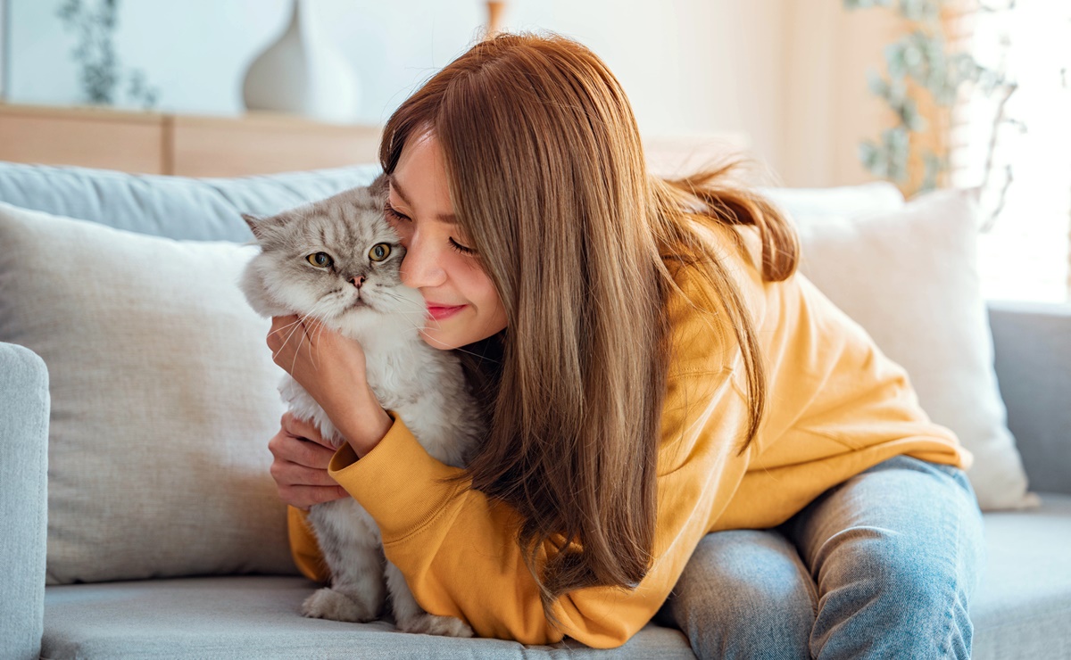 ¿Por qué ronronean los gatos? Esta es la explicación científica detrás ...