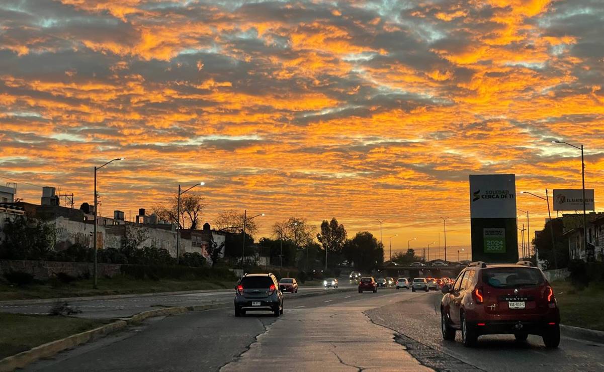 ¿Quién es el dueño del mezcal Patatús, el más premiado de SLP?