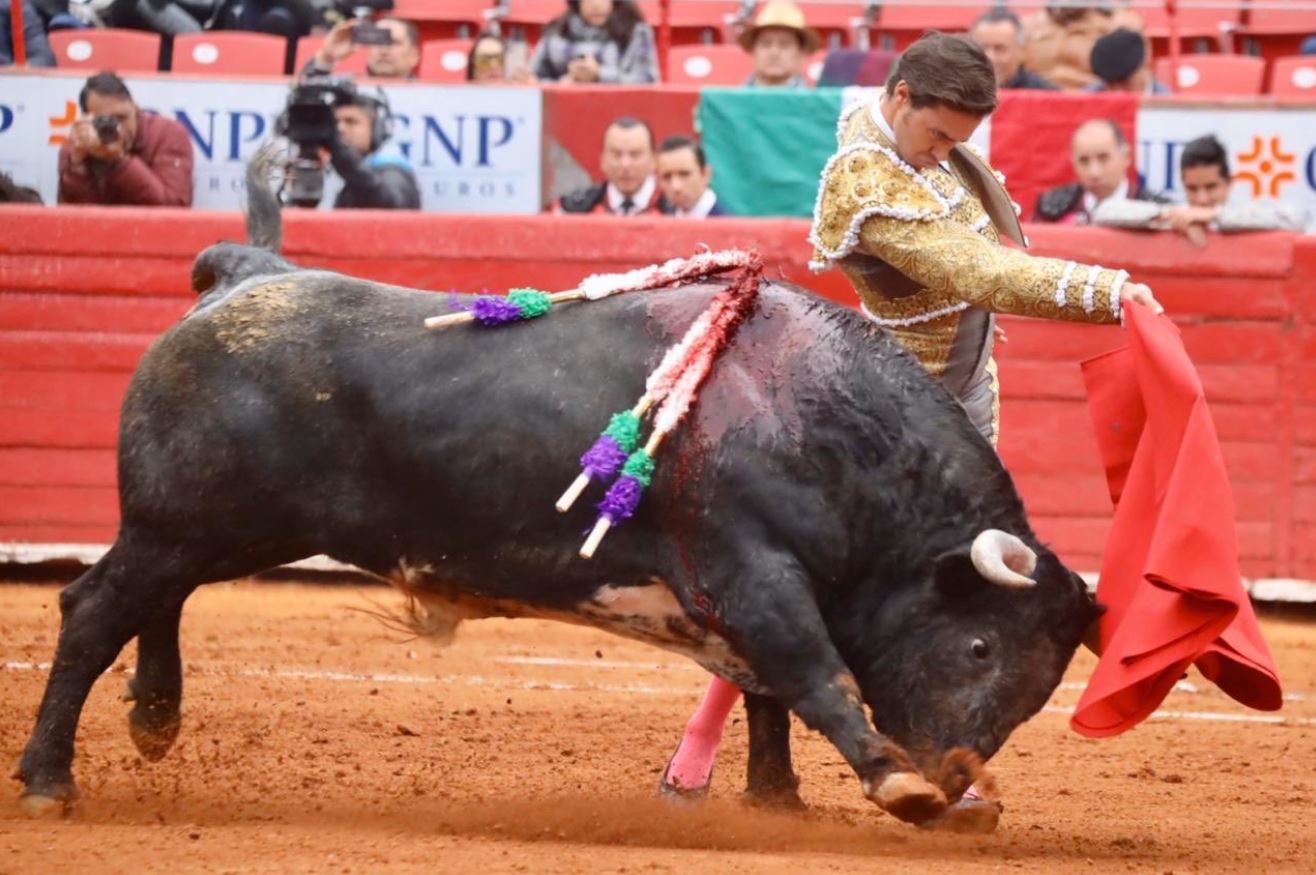 José Ramón Cossío | El Universal