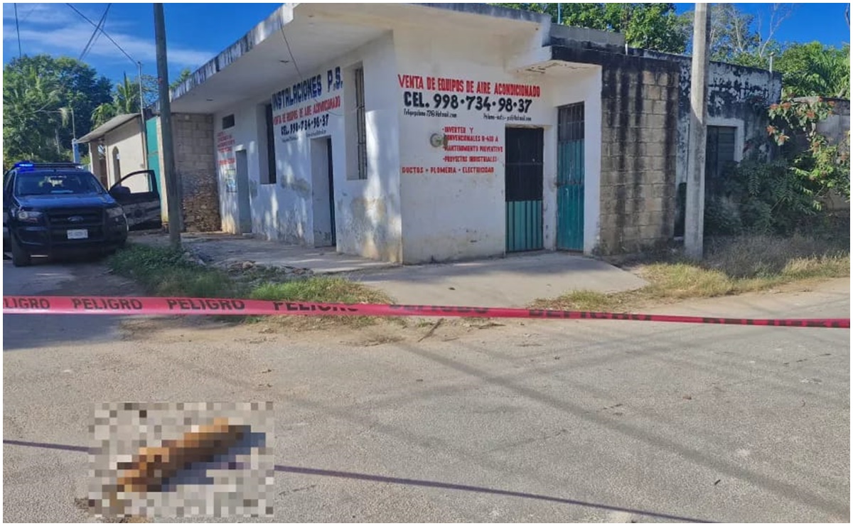 Reportan un nuevo caso de envenenamiento masivo de perritos en Yucatán; suman 15 canes esta ...