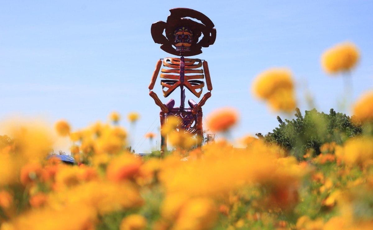 Gobierno de la Ciudad y Universidad IEU firman convenio para fortalecer ...