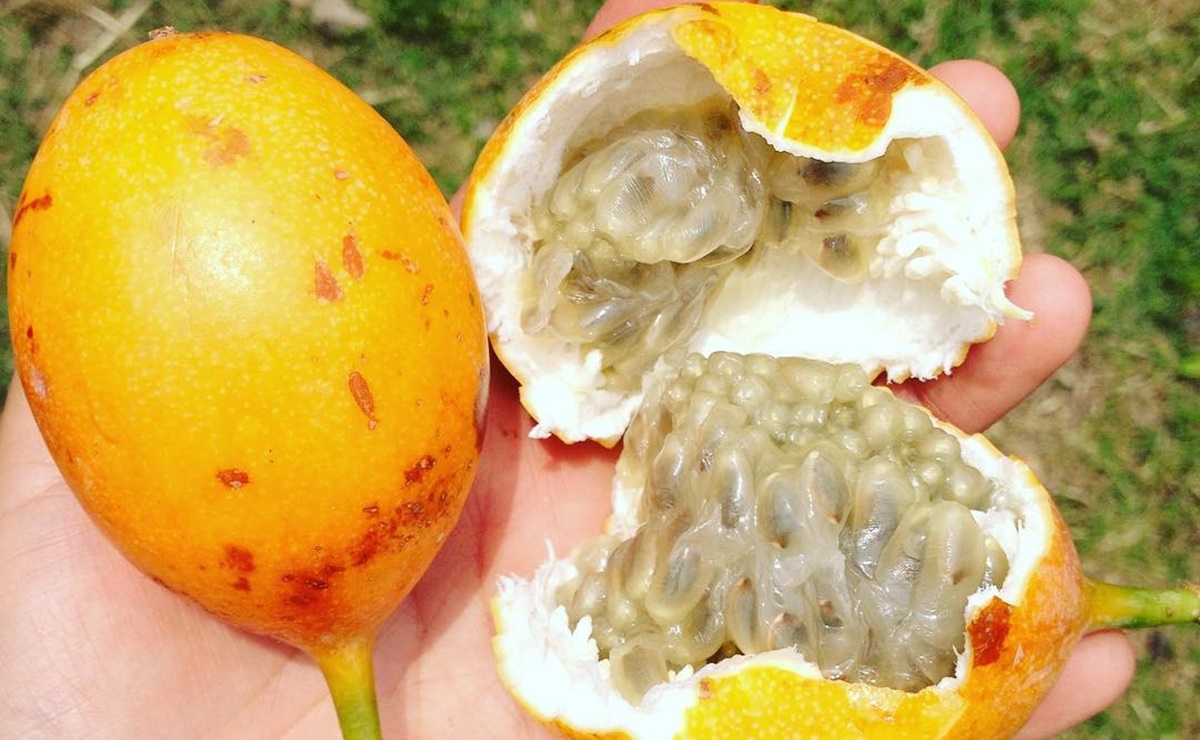 Menú | El Universal