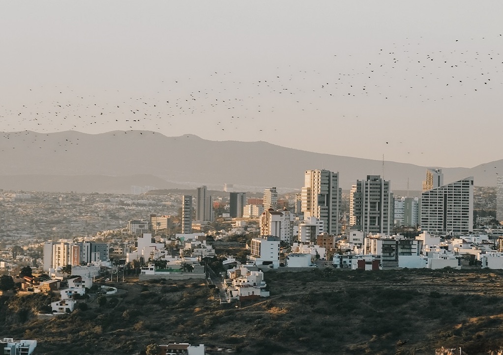 Sociedad | El Universal Querétaro