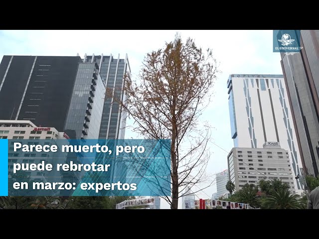 Redacción Clase | El Universal