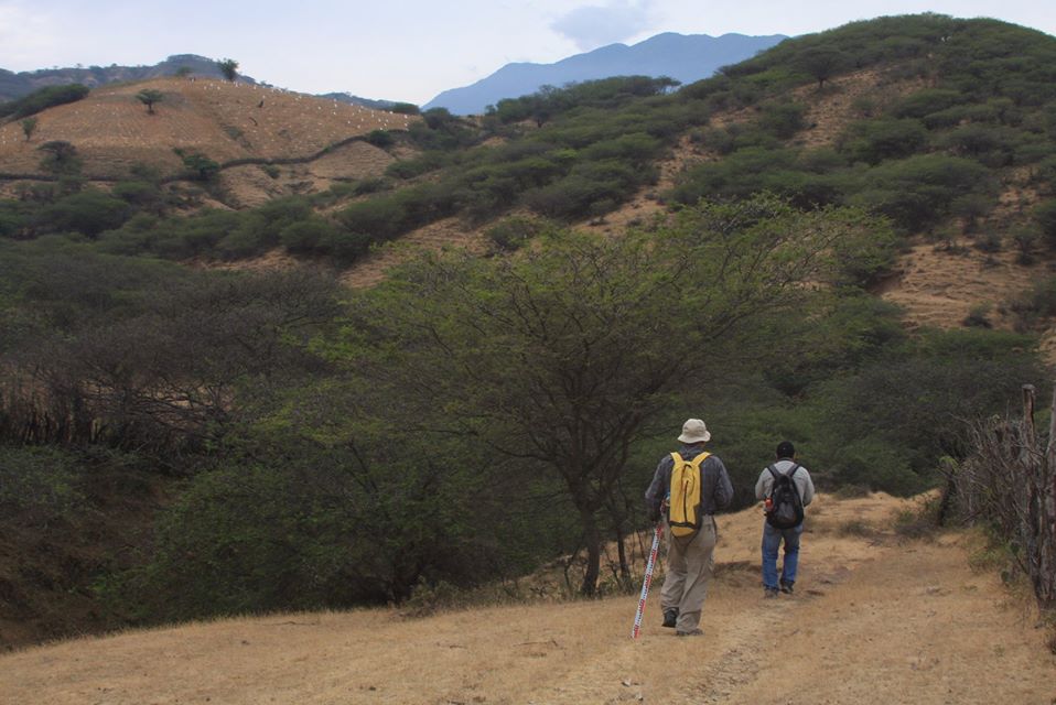 El yamanasaurus de Ecuador es el dinosaurio saltasaurino hallado más al ...
