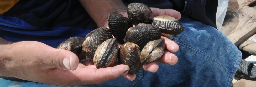 Calendario de veda de peces y crustáceos en Ecuador durante el 2021 ...