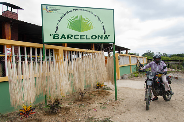 Naturaleza, historia y gastronomía resaltan Ruta de la Paja Toquilla en Santa Elena | Ecuador ...