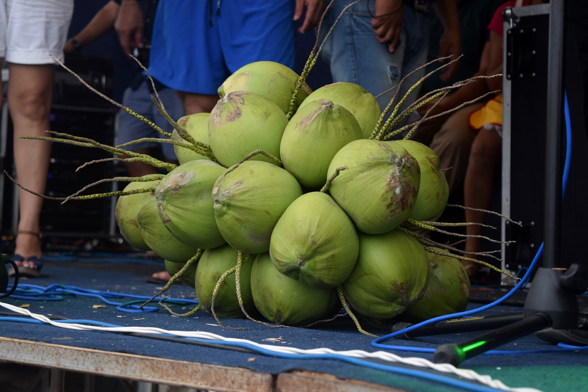 El coco tiene su festival en la parroquia Cojimíes | Intercultural ...