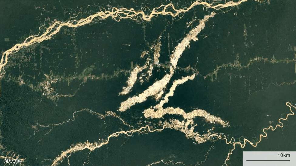 Destrucción del Amazonas: las principales amenazas para la mayor selva ...