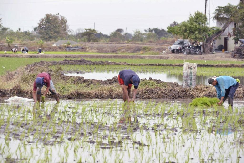 Cambiar matriz productiva, la promesa que se repite en cada crisis ...