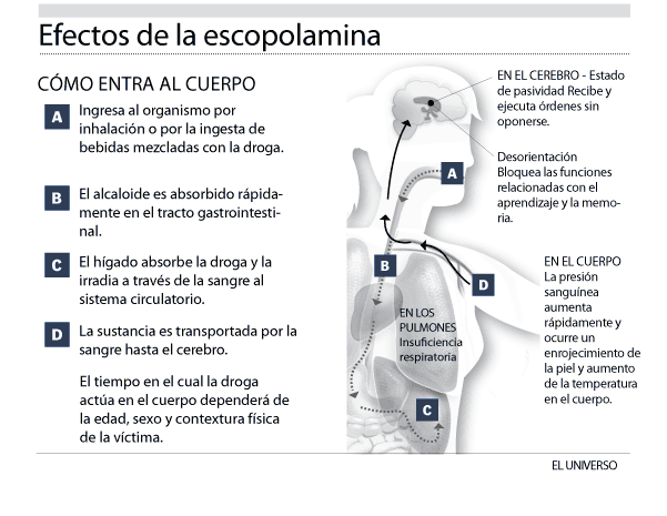 Colegio investiga uso de escopolamina | Seguridad | Noticias | El Universo