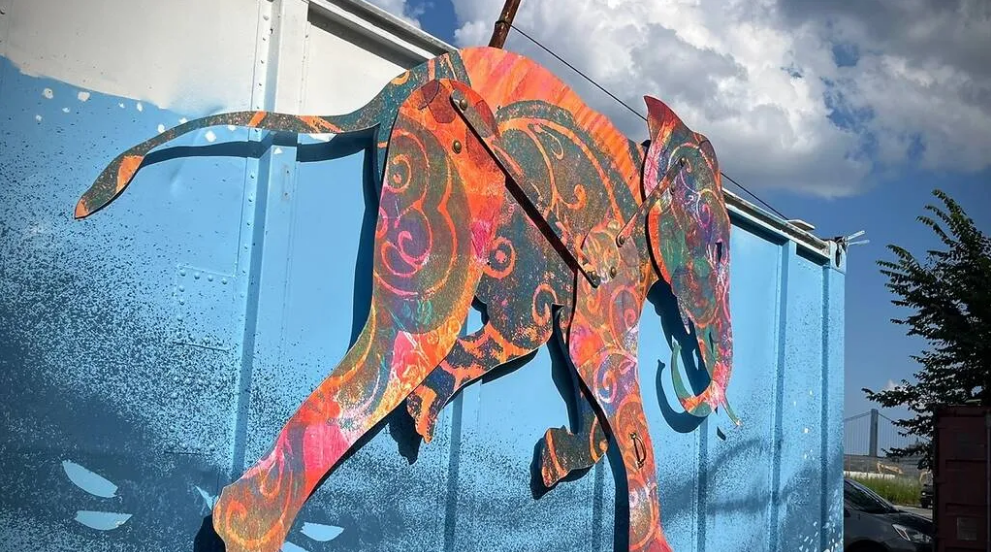 Elefante Sentado En Un Lugar Divertido