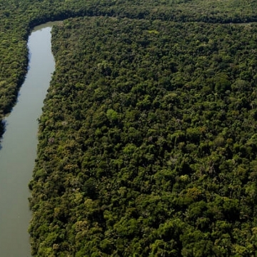Retomada Verde: Amazônia - Estadão
