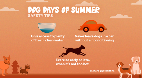 What Does Dog Days Mean Slang